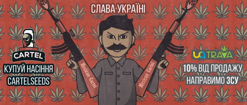 UATRAVA - семена конопли, каннабиса, марихуаны Киев и Украина