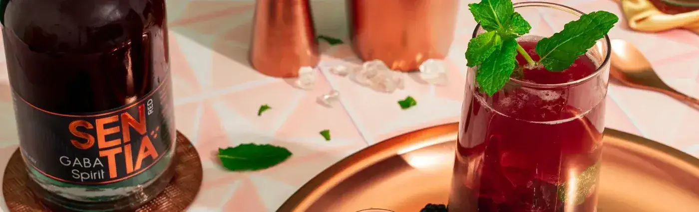 Купити SENTIA GABA Red ⭐️ Безалкогольний напій для релаксації в Україні ...